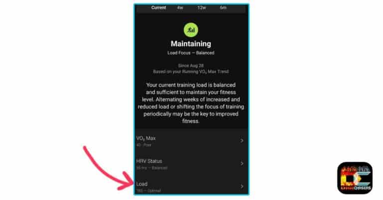 Garmin Acute Load: What you need to know. – DigiChasers