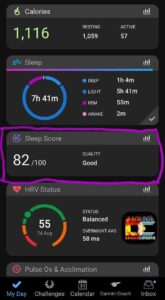 Garmin Sleep Score and Insights – DigiChasers